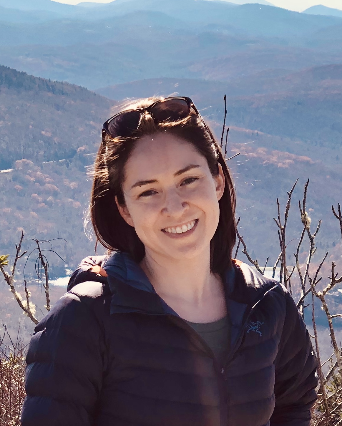 Working Groups Preparing for the COBALT Bioregional Workshop | Six ...